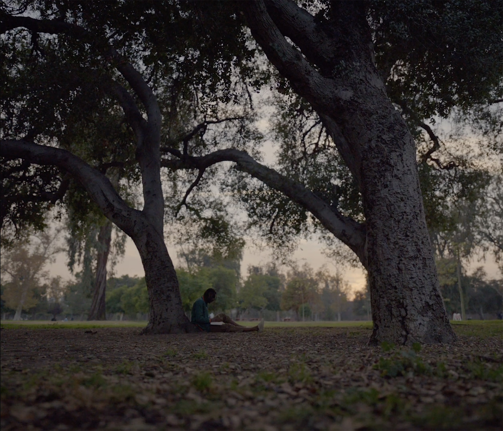 Ben - Consulat | Creative Production Company